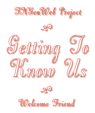 Getting To Know Us, the hosts of the TNGenWeb Project